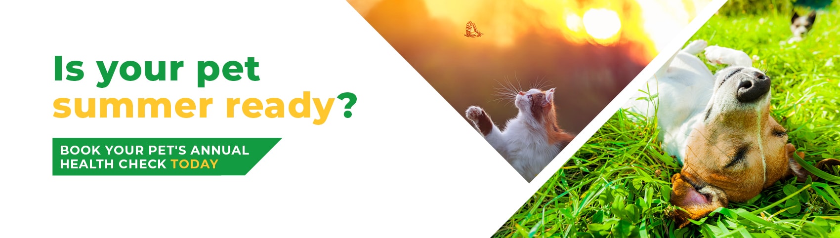 Wildbore Vetstop Veterinary Hospital in Worksop