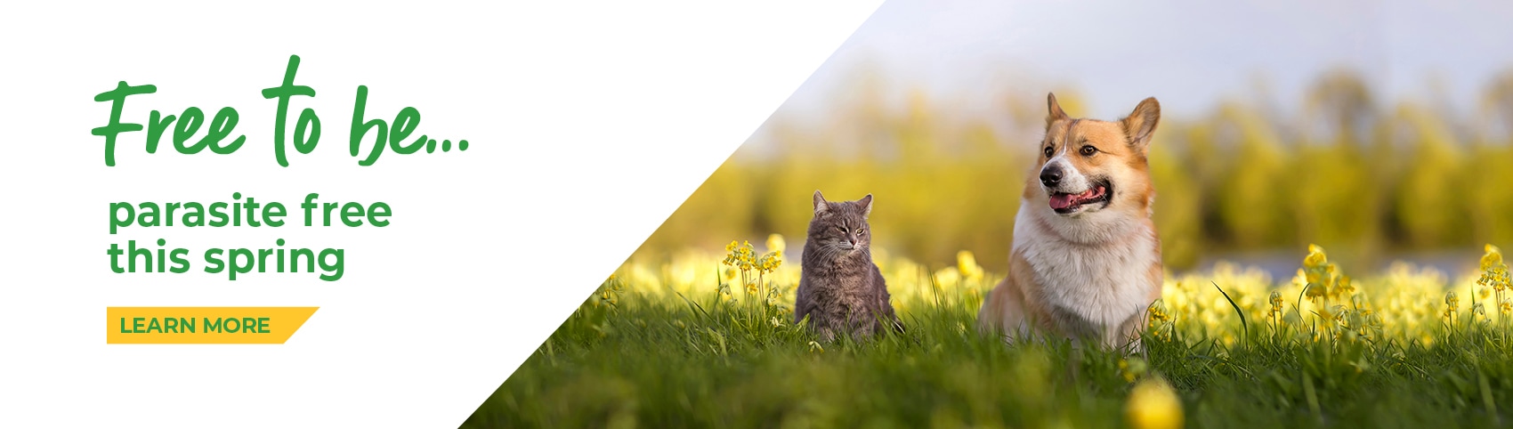 Wildbore Vetstop Veterinary Hospital in Worksop